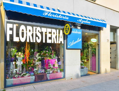 Floristería Azalea - Zizur Mayor